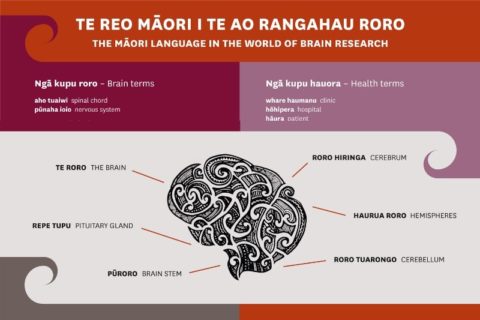BRNZ Releases Poster for Te Wiki o Te Reo Māori